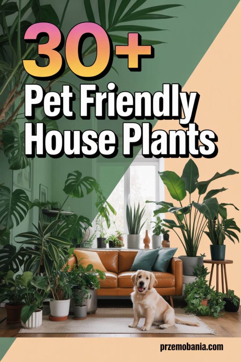 30+ Pet Friendly House Plants
